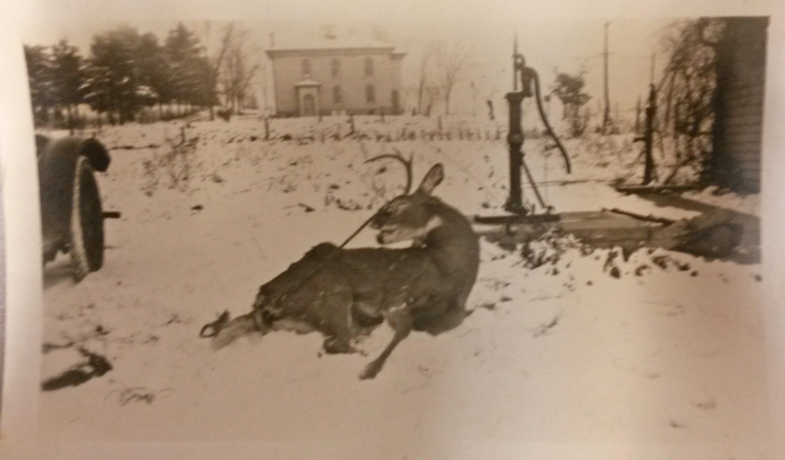 Argonne Photos Saved from Destruction – Crandon Area Historical Society